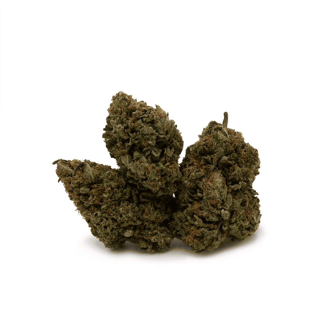 Citrique - Sativa Dominant Strain | Pacific Grass