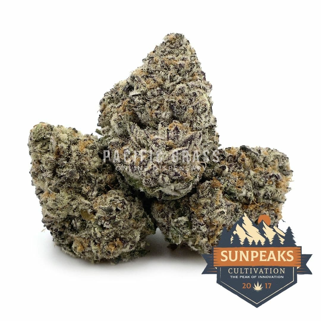 Sun Peaks Cultivation - Purple Afghani | Pacific Grass
