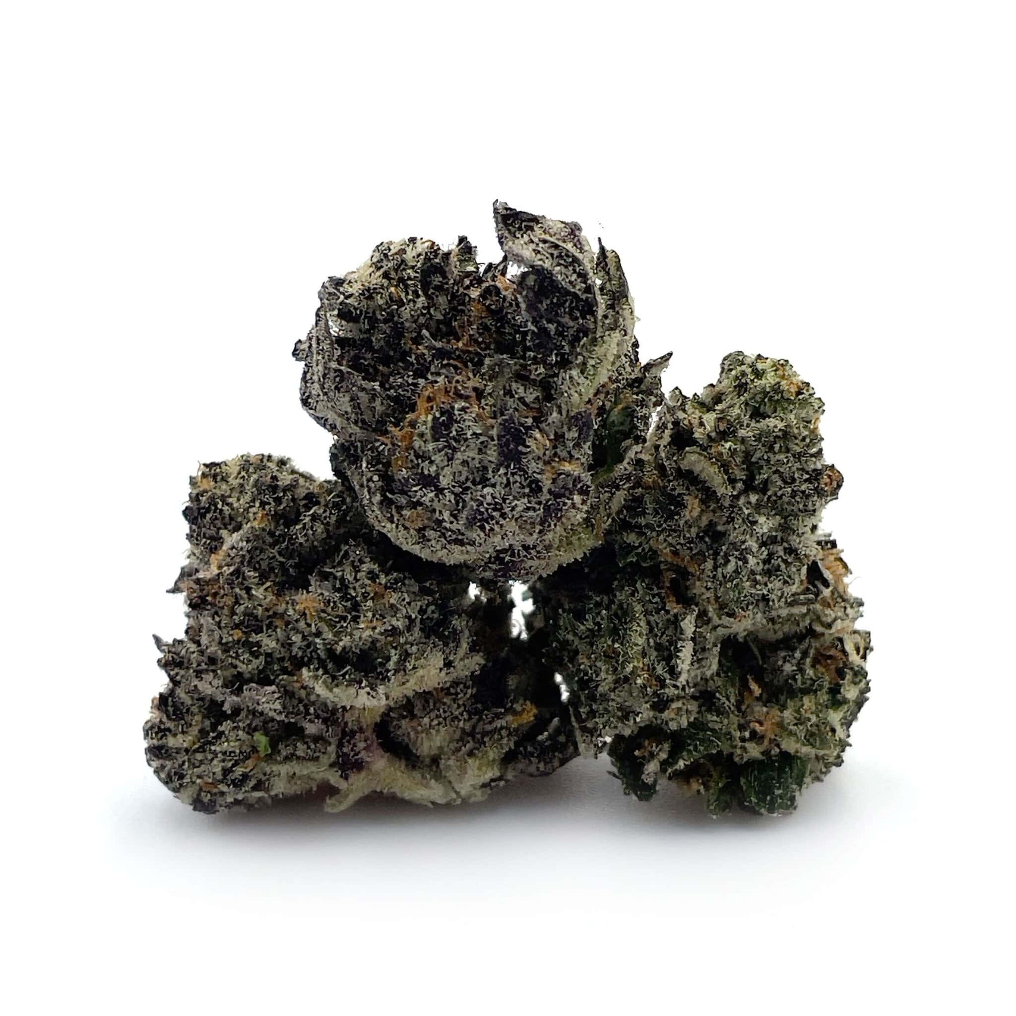 White Thunder | Pacific Grass